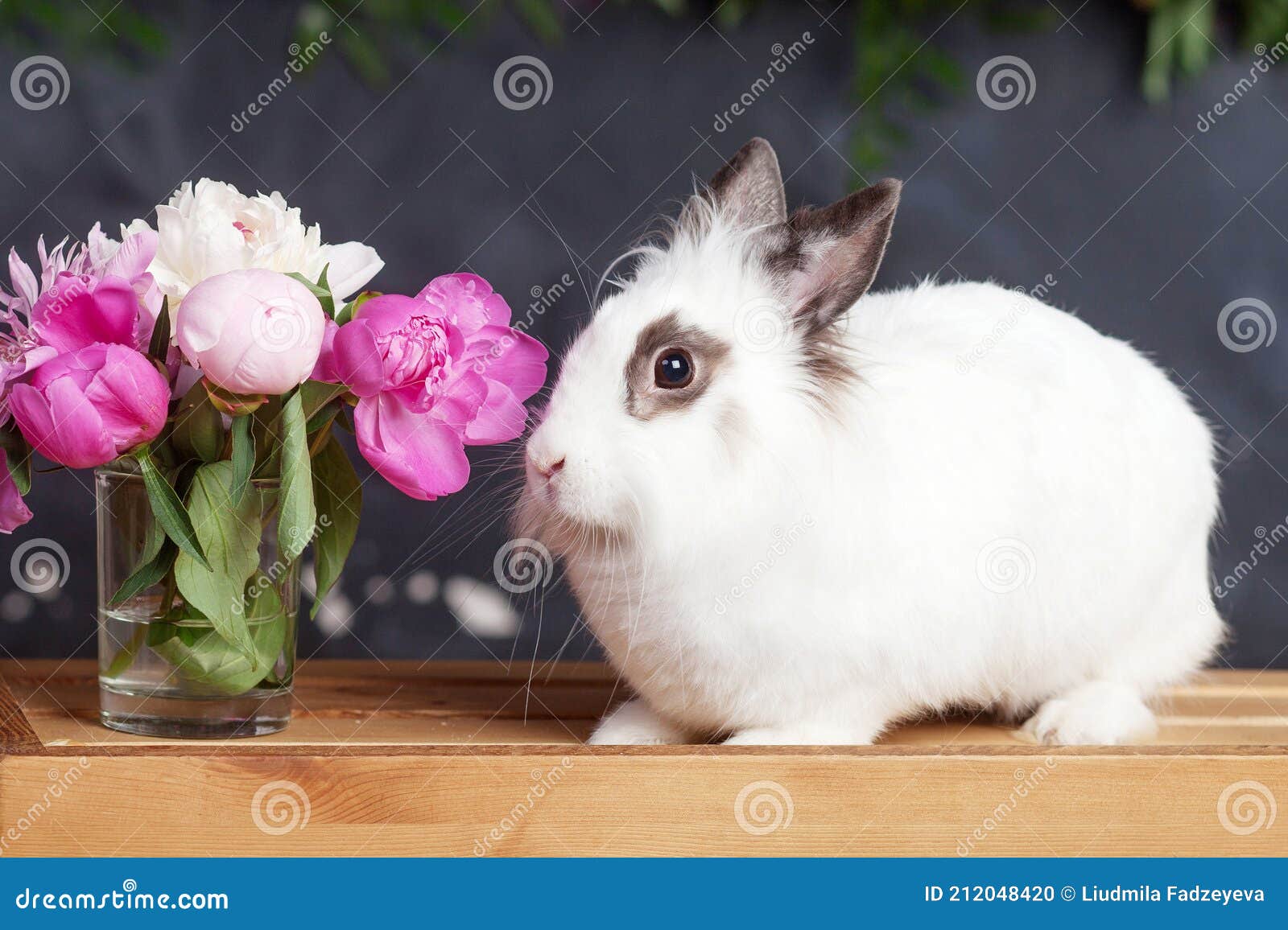 White Rabbits with Spring Flowers on Black Background. Easter Time ...