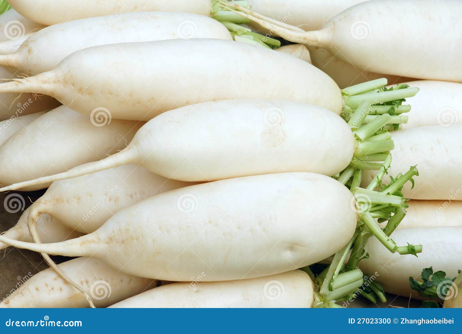 White radish stock photo. Image of food, nature, vegetables - 27023300