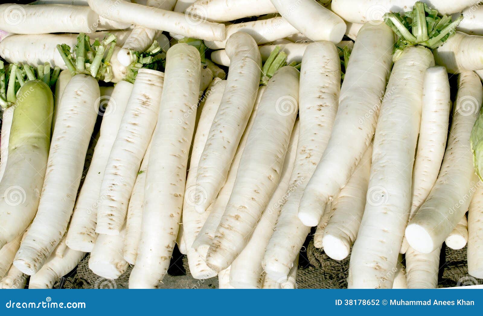 White radish stock photo. Image of group, graphics, ingredient - 38178652