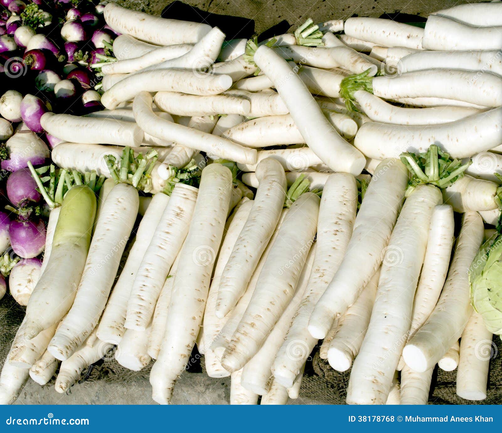 White radish stock photo. Image of market, healthy, cuisine - 38178768