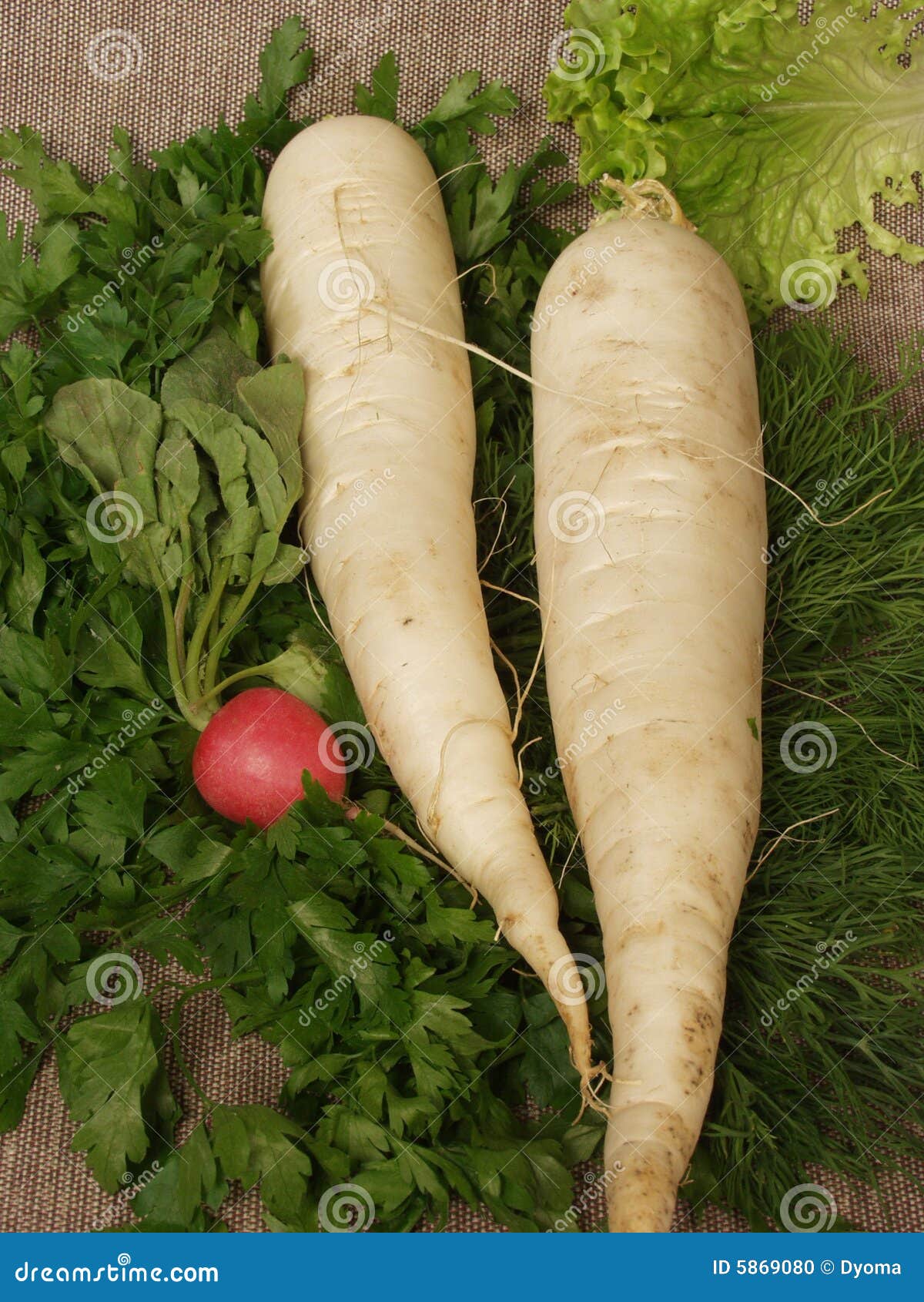 White Radish Background With Roots On The Table In Light And Shade ...