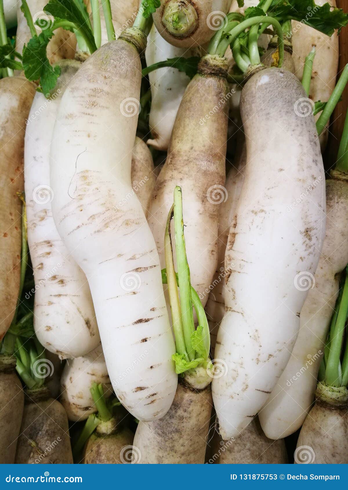 White radish in basket stock image. Image of root, food - 131875753