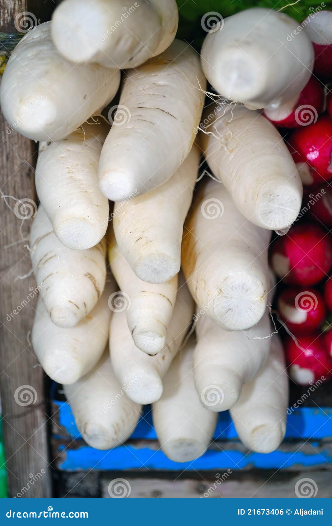White Radish Texture stock photo. Image of fasting, closeup - 21673406