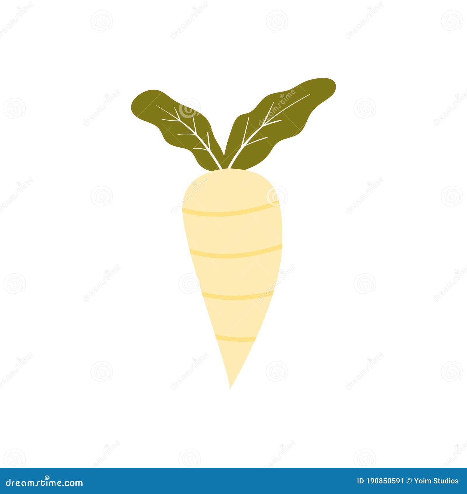 White Radish Vector Design Template Illustration Stock Vector ...