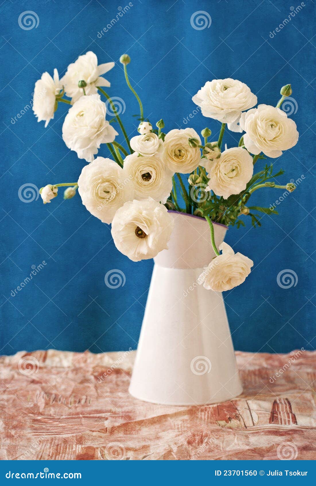 White Ranunculus flower stock photo. Image of light, card - 23701560