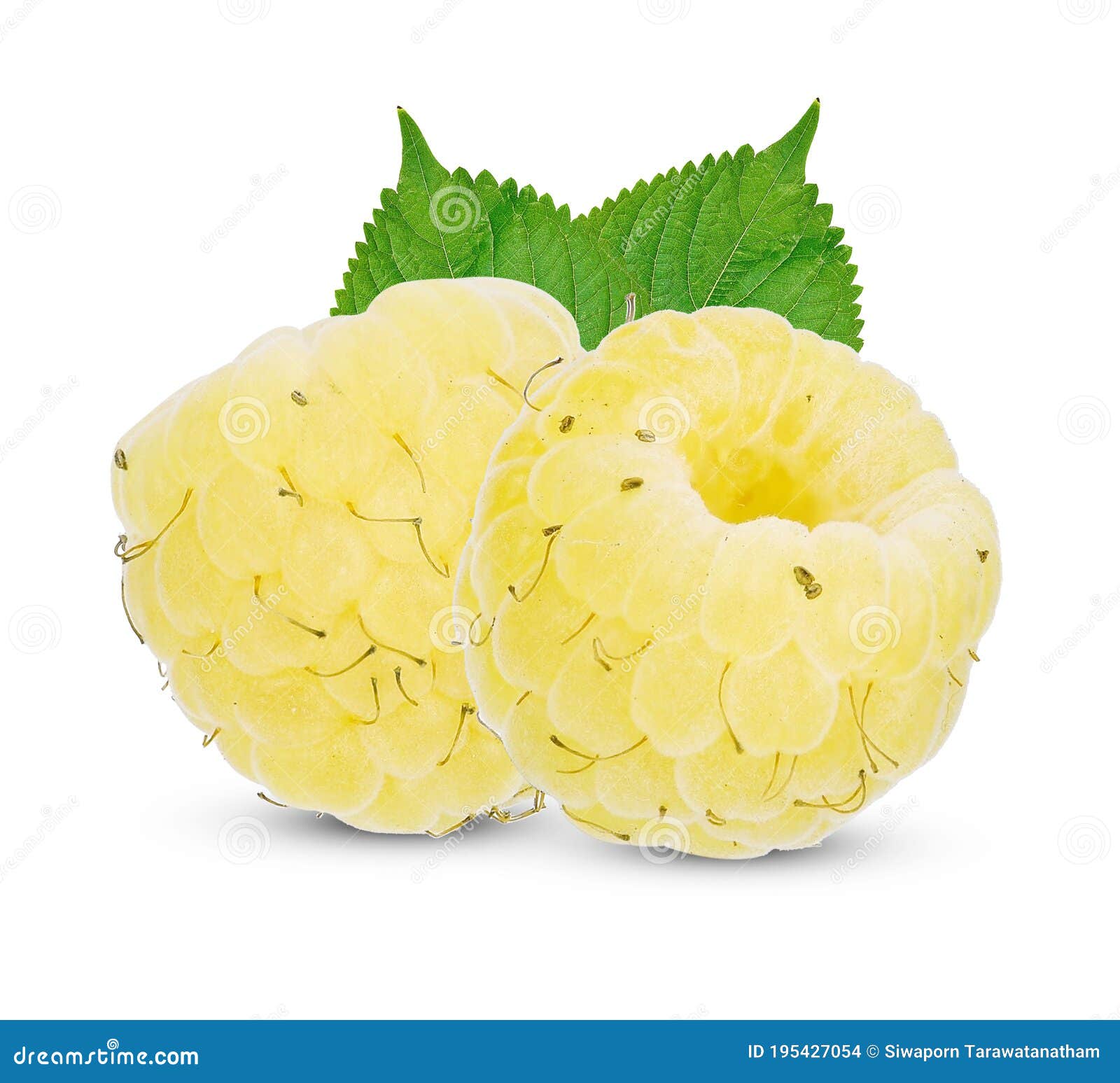 White Raspberries on White Background Full Depth of Field Stock Photo ...