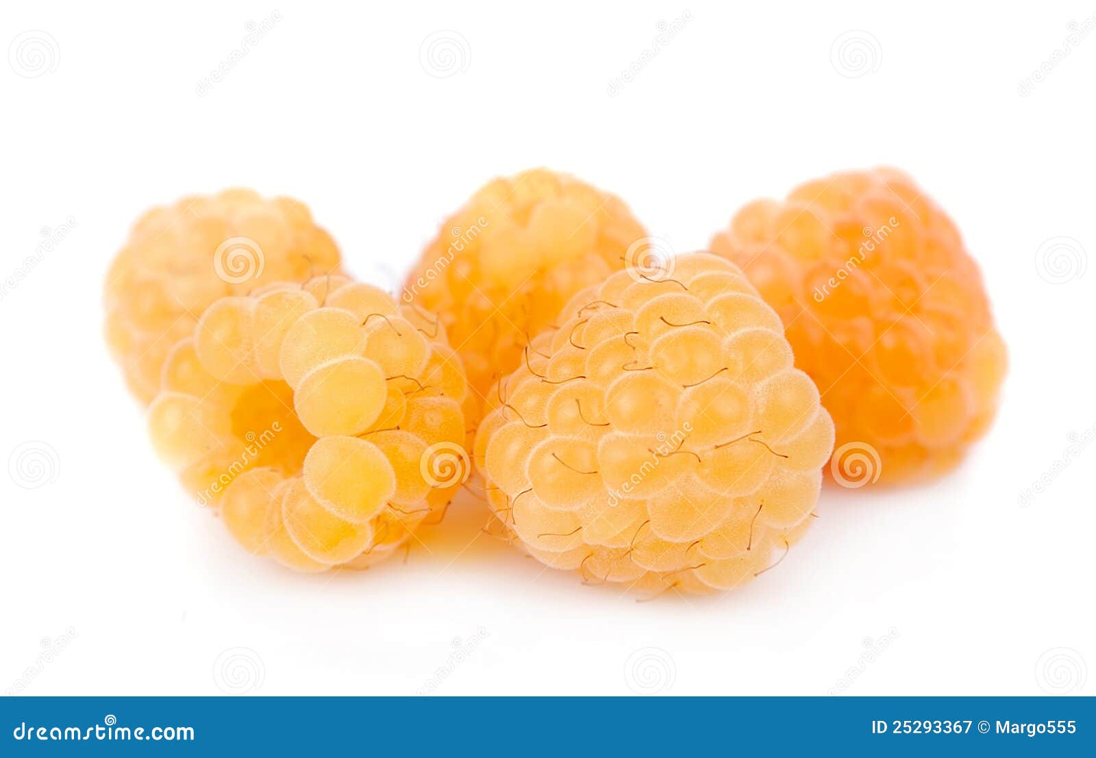 White raspberry stock image. Image of white, vegetarian - 25293367