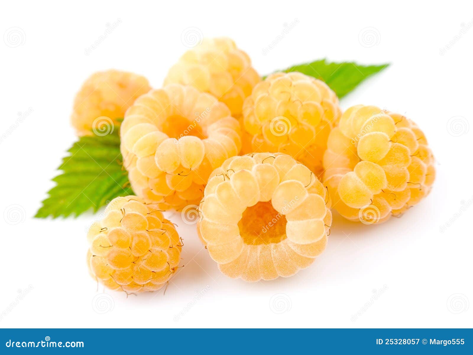 White raspberry fruits stock image. Image of meals, nutrition - 25328057