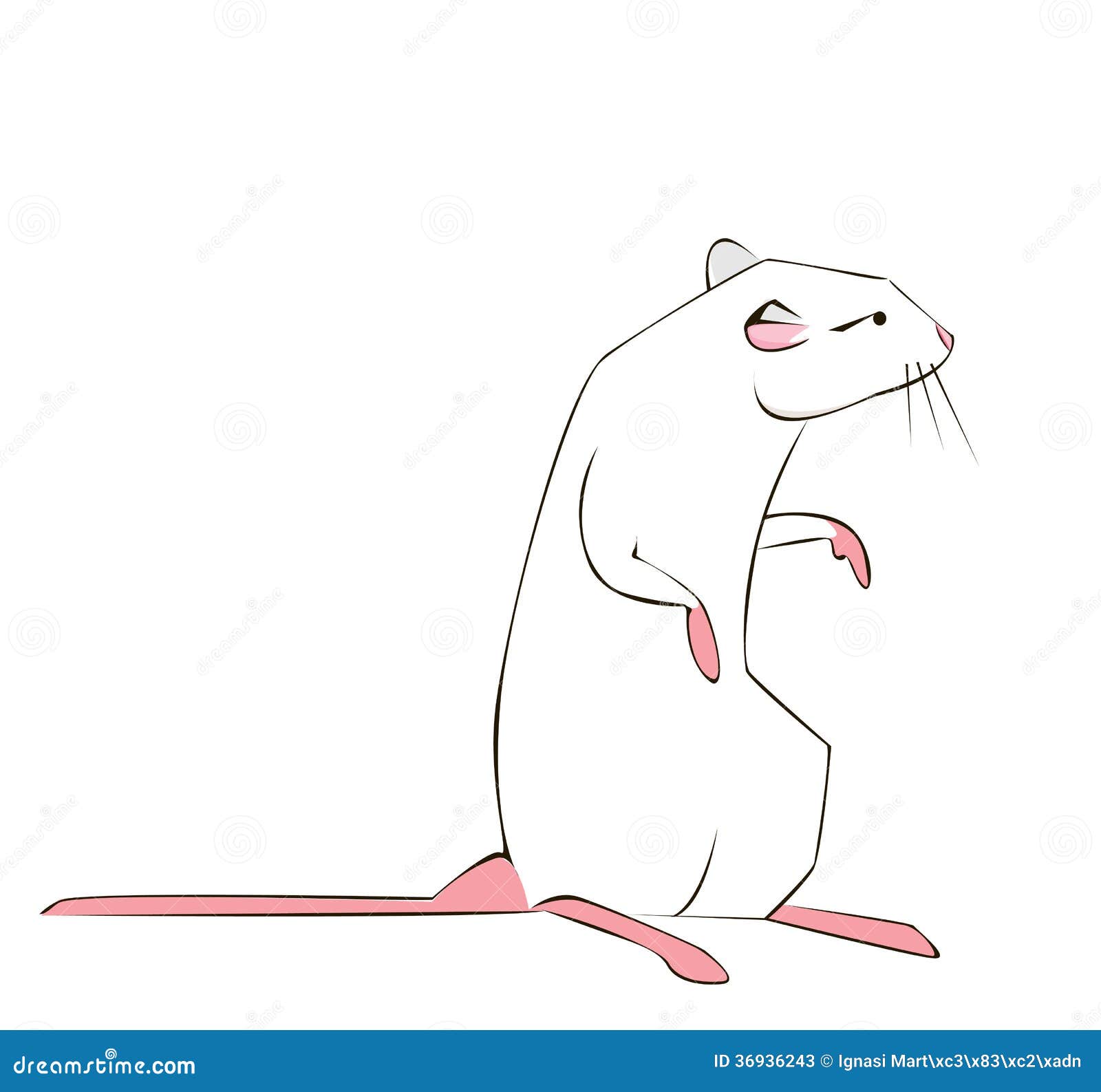 White rat stock vector. Illustration of fast, animal - 36936243