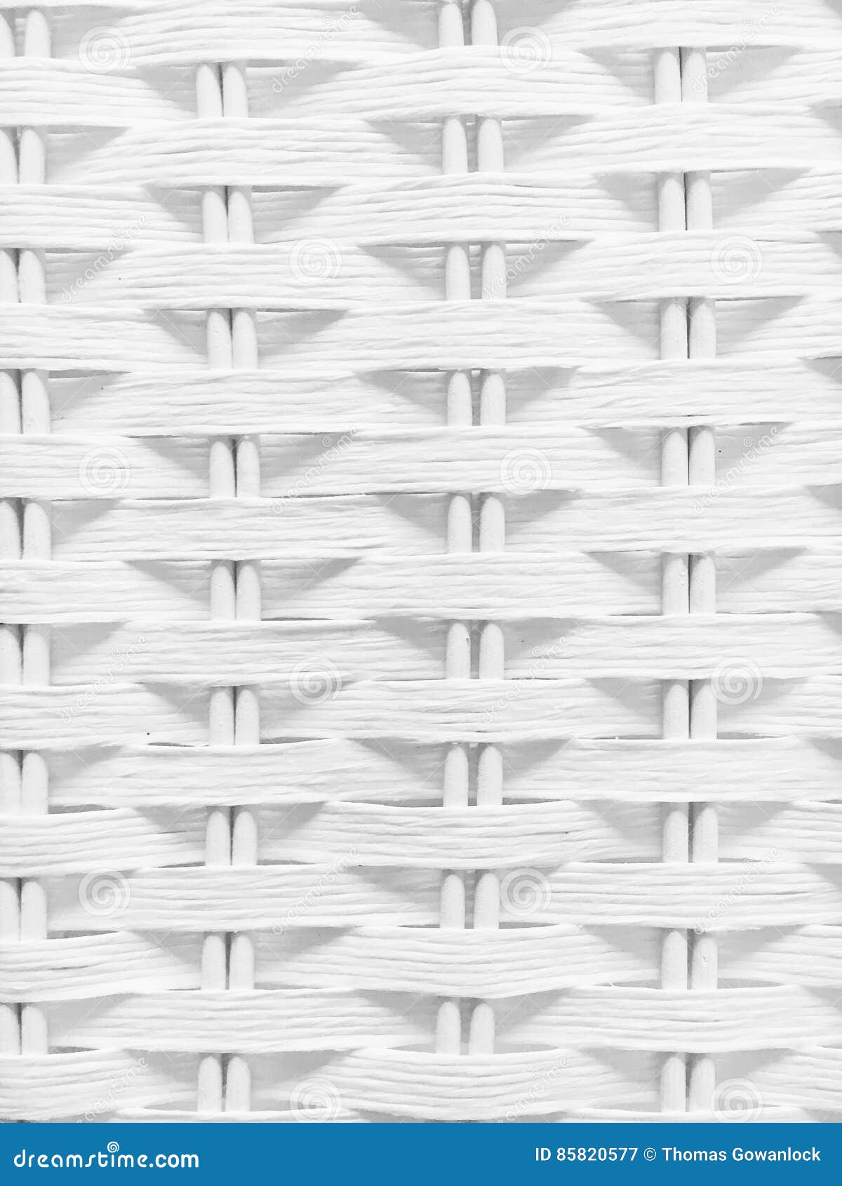 White ratten texture stock image. Image of mesh, close - 85820577
