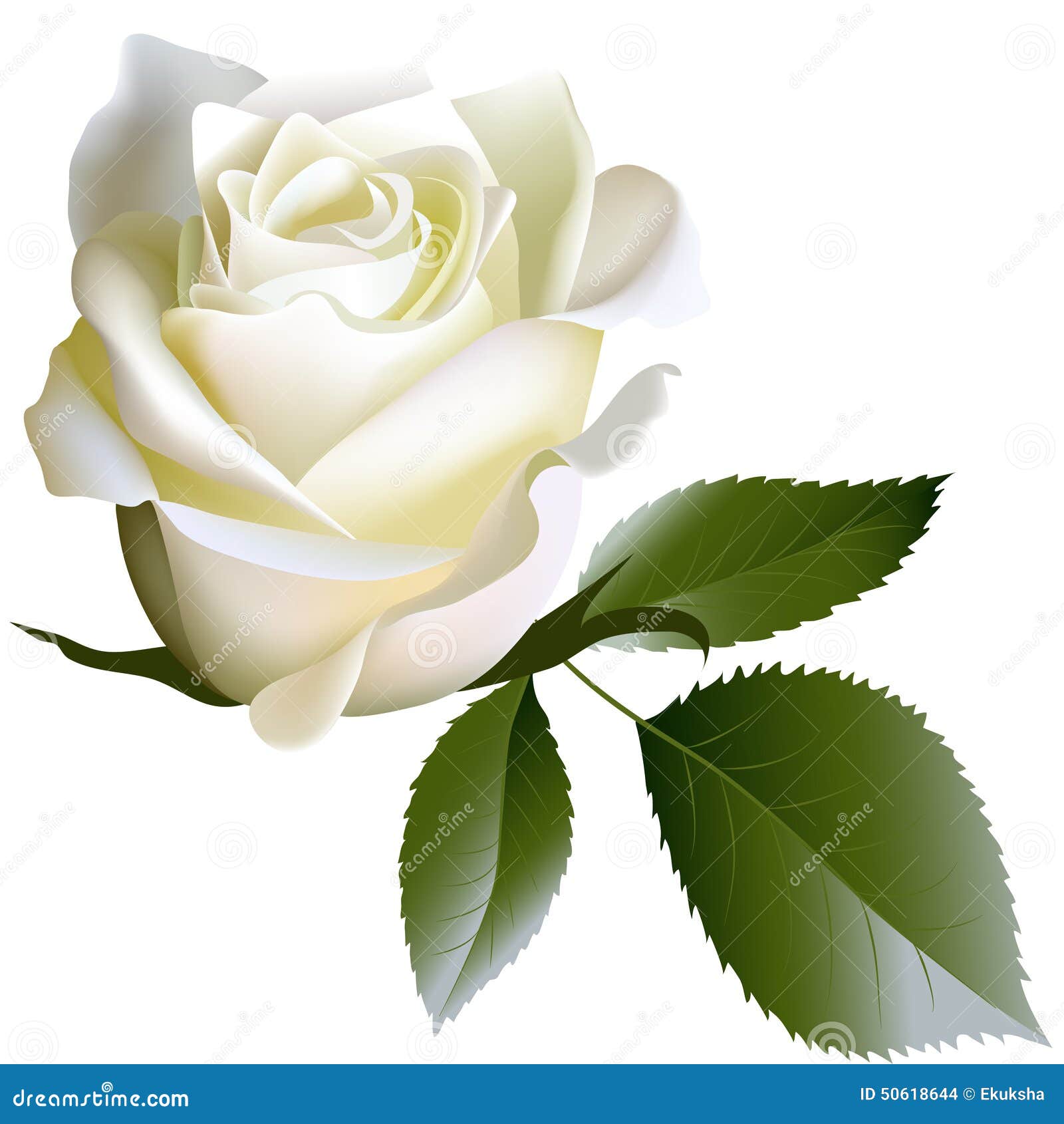 Realistic Rose Flower Bouquet On Circle Oval Frame Sketch Clipart ...