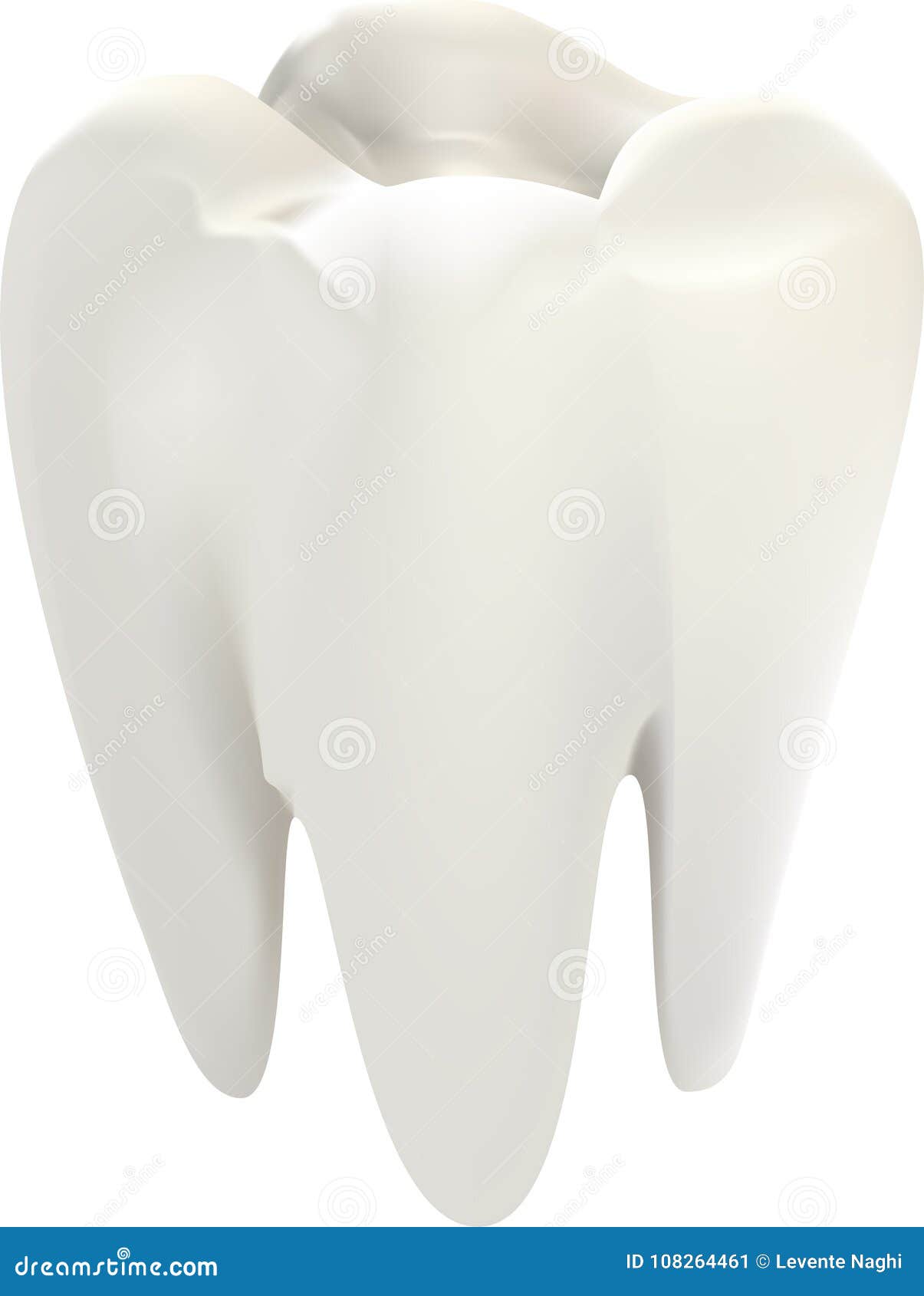 White realistic tooth stock vector. Illustration of healthy - 108264461
