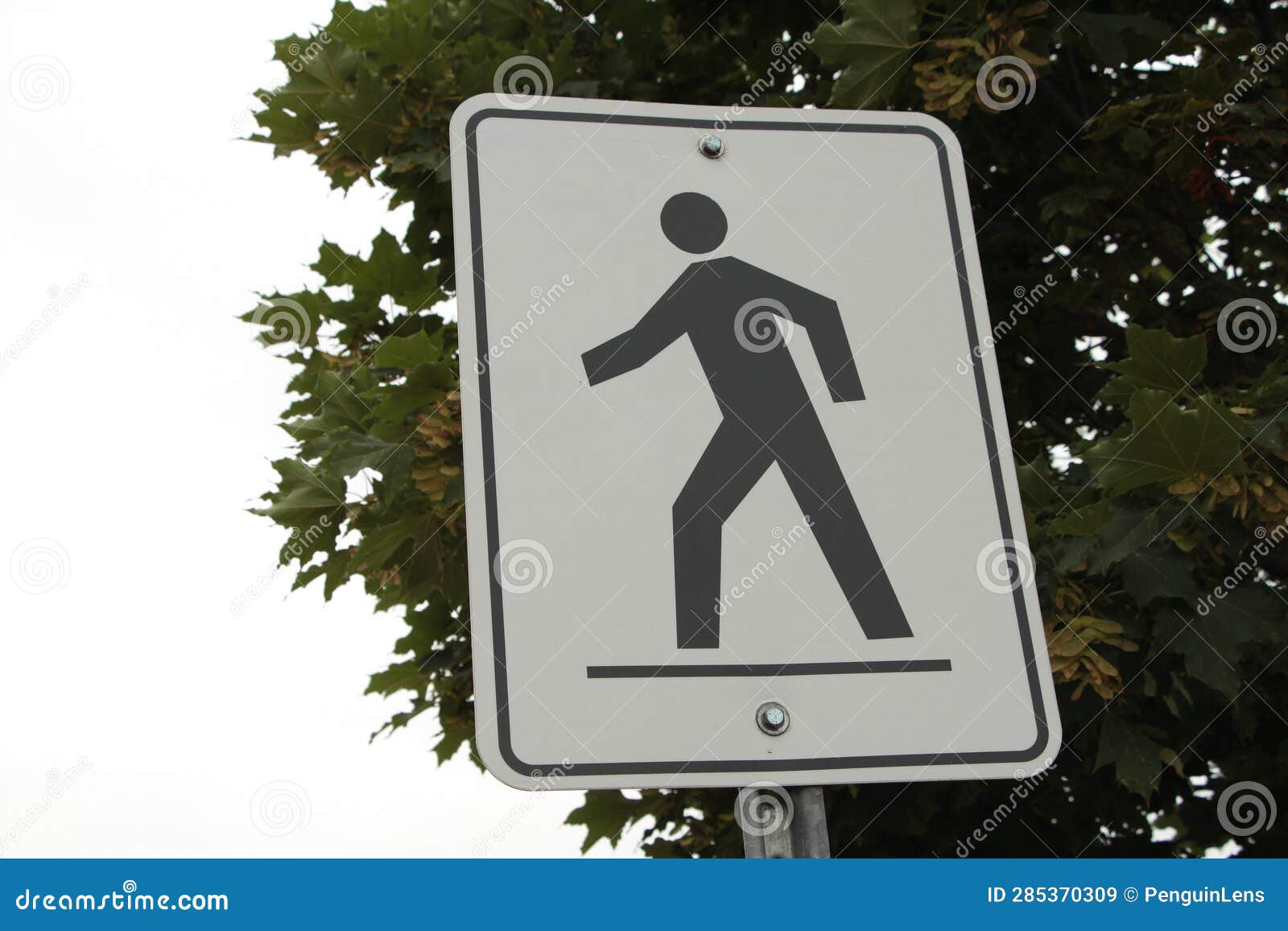 White Rectangle Sign with Black Illustration of Person Walking on Flat ...