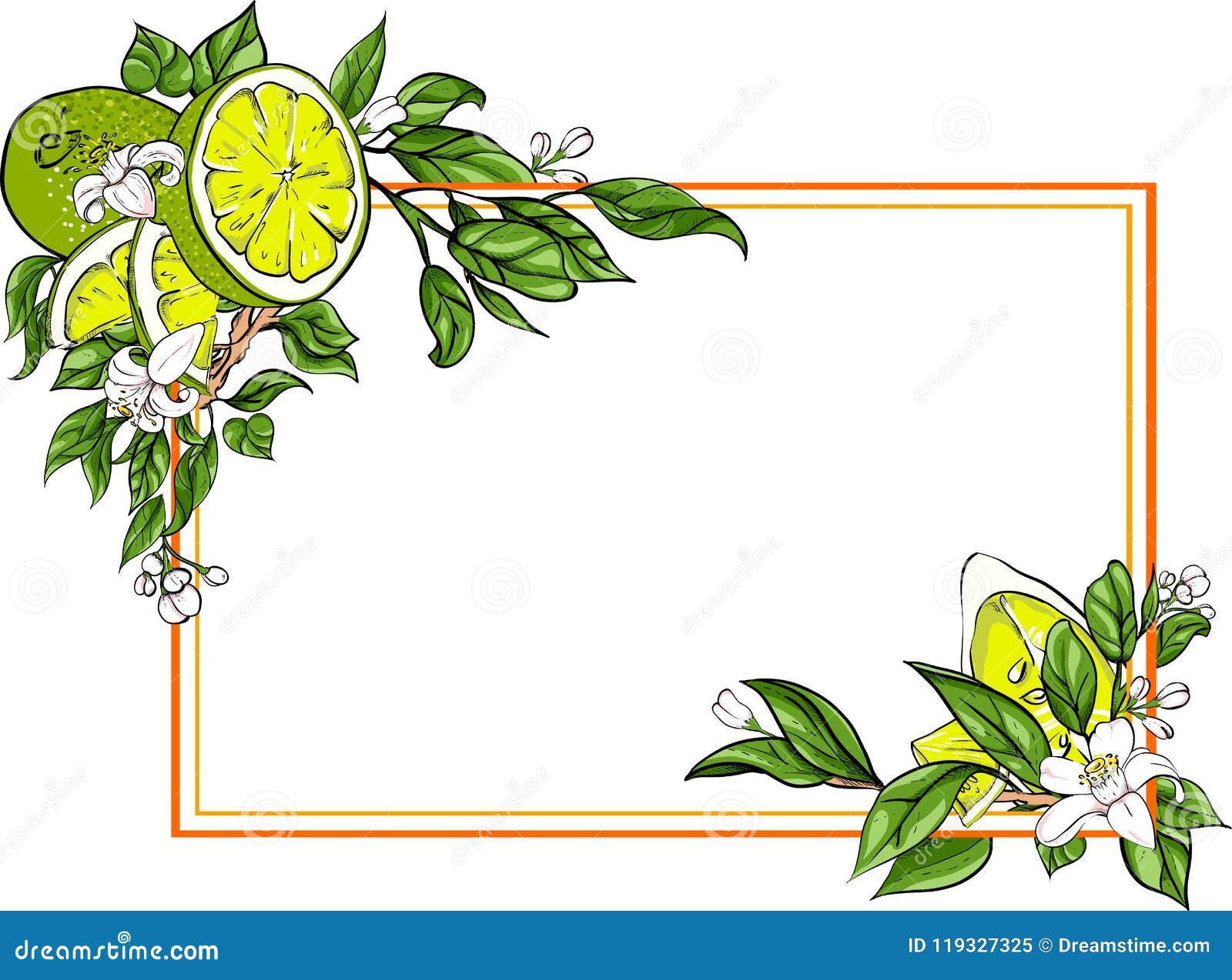White Rectangular Background with Lime. Stock Vector - Illustration of ...