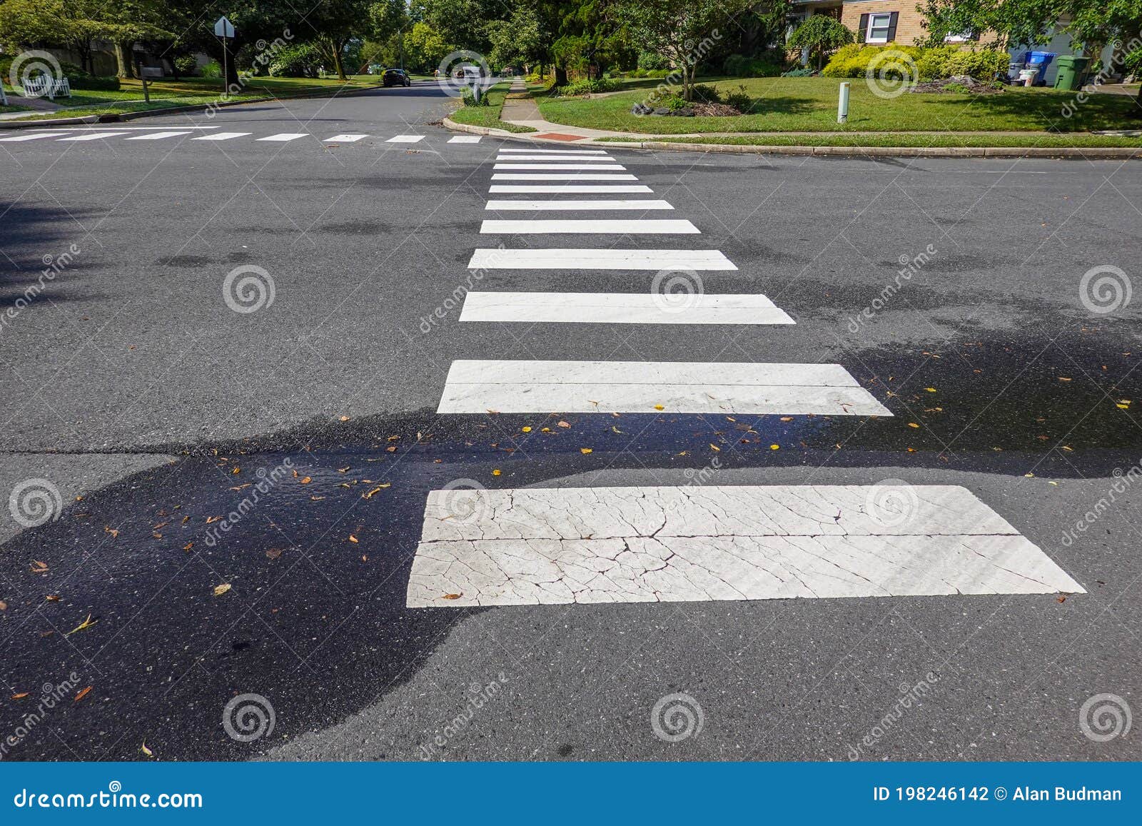 White Rectangular Intermittent Crosswalk Markers Painted on the Asphalt ...