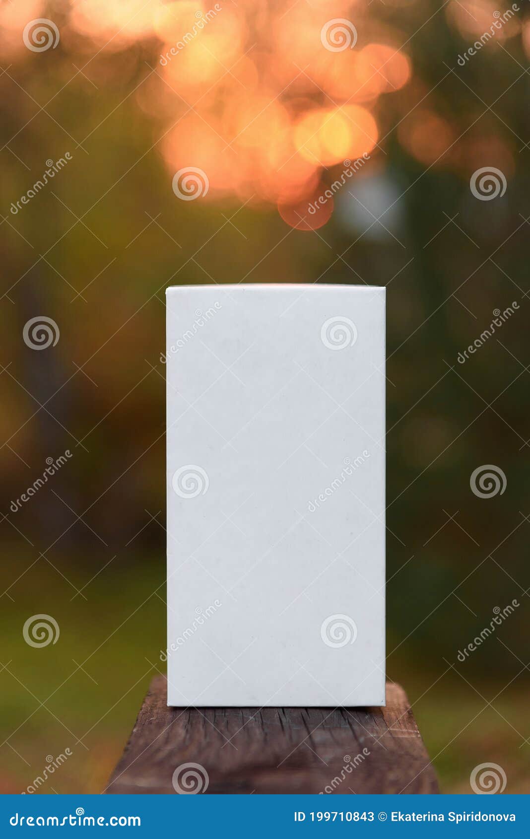 Rectangle Shape In Nature