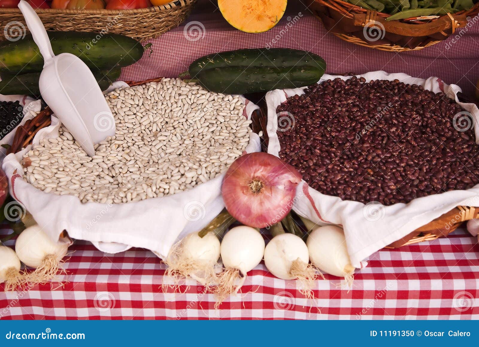 White and red Basque beans stock photo. Image of country - 11191350