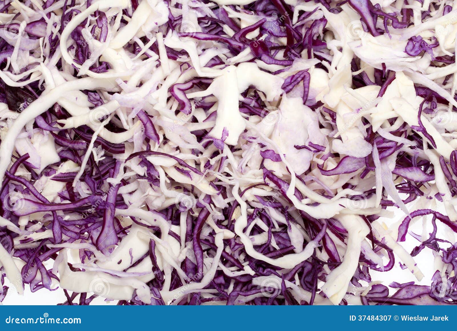 White and Red Cabbage stock image. Image of head, grocery - 37484307