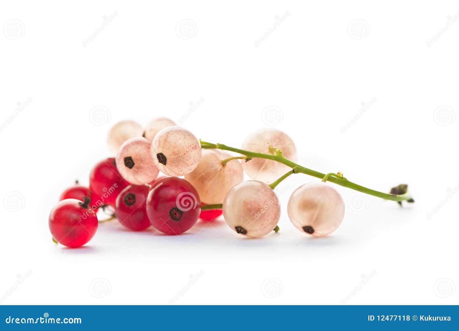 White and red currants stock photo. Image of freshness - 12477118