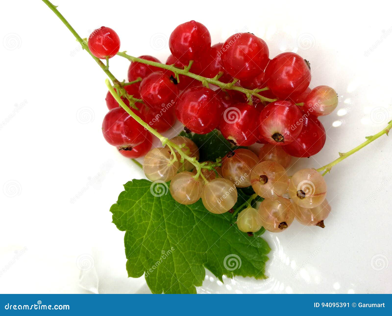 White and red currants stock image. Image of ripe, bunch - 94095391
