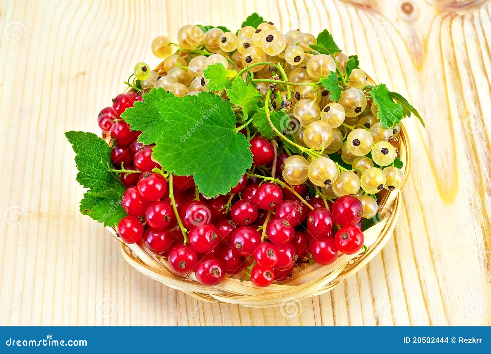 White and Red Currants on a Plate Stock Photo - Image of basket, fresh ...