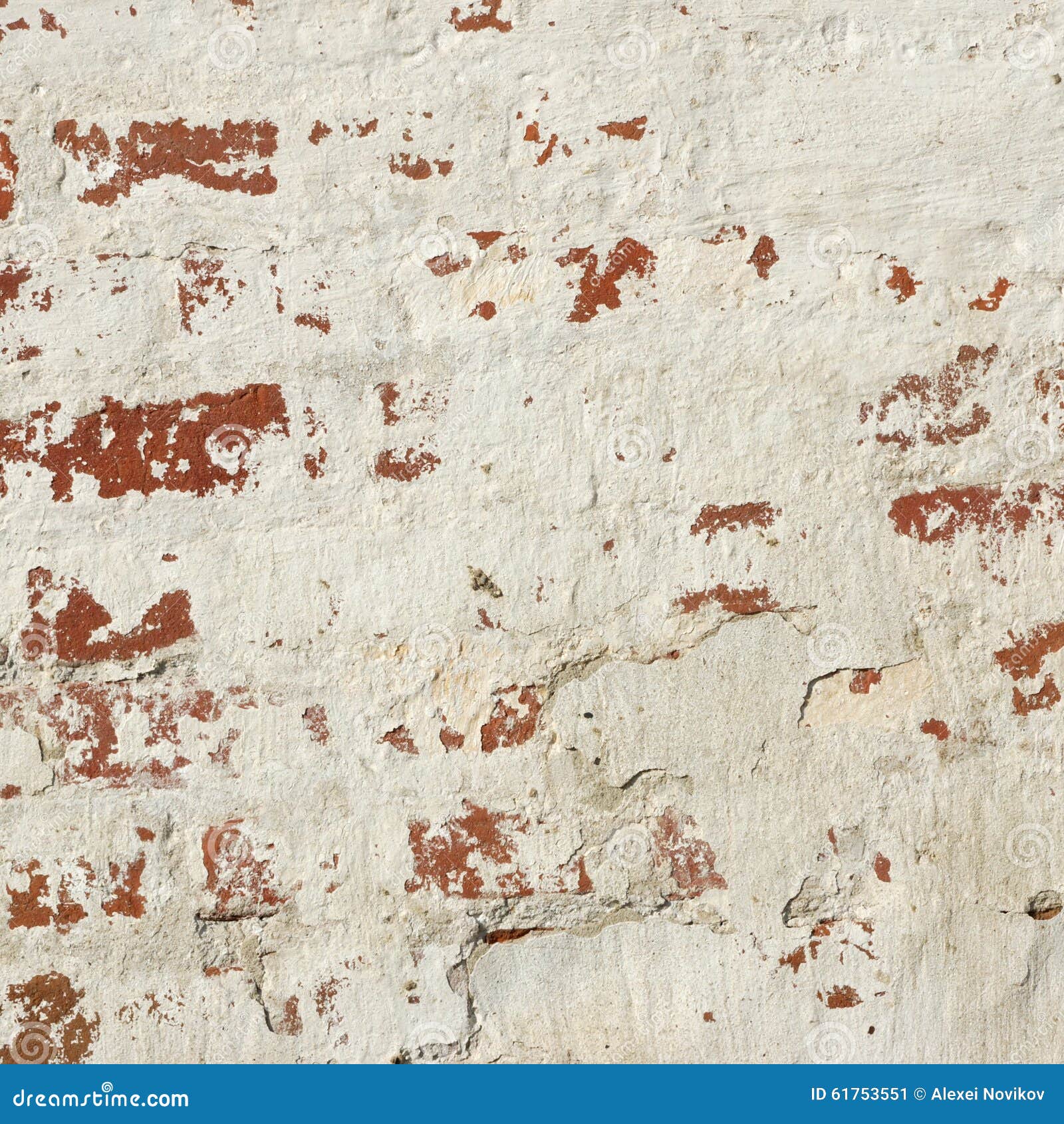 Damaged Plaster Wall From Creeping Roots Texture Stock Photography ...