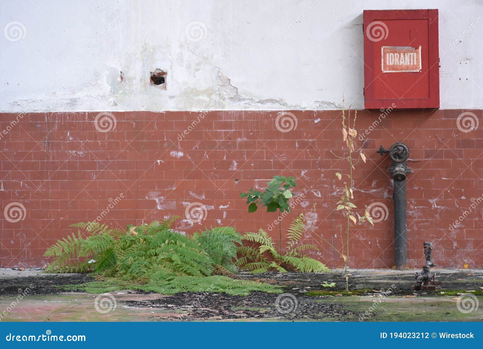 White And Red Old Wall With A Fire Hydrant Near It Stock Photo ...