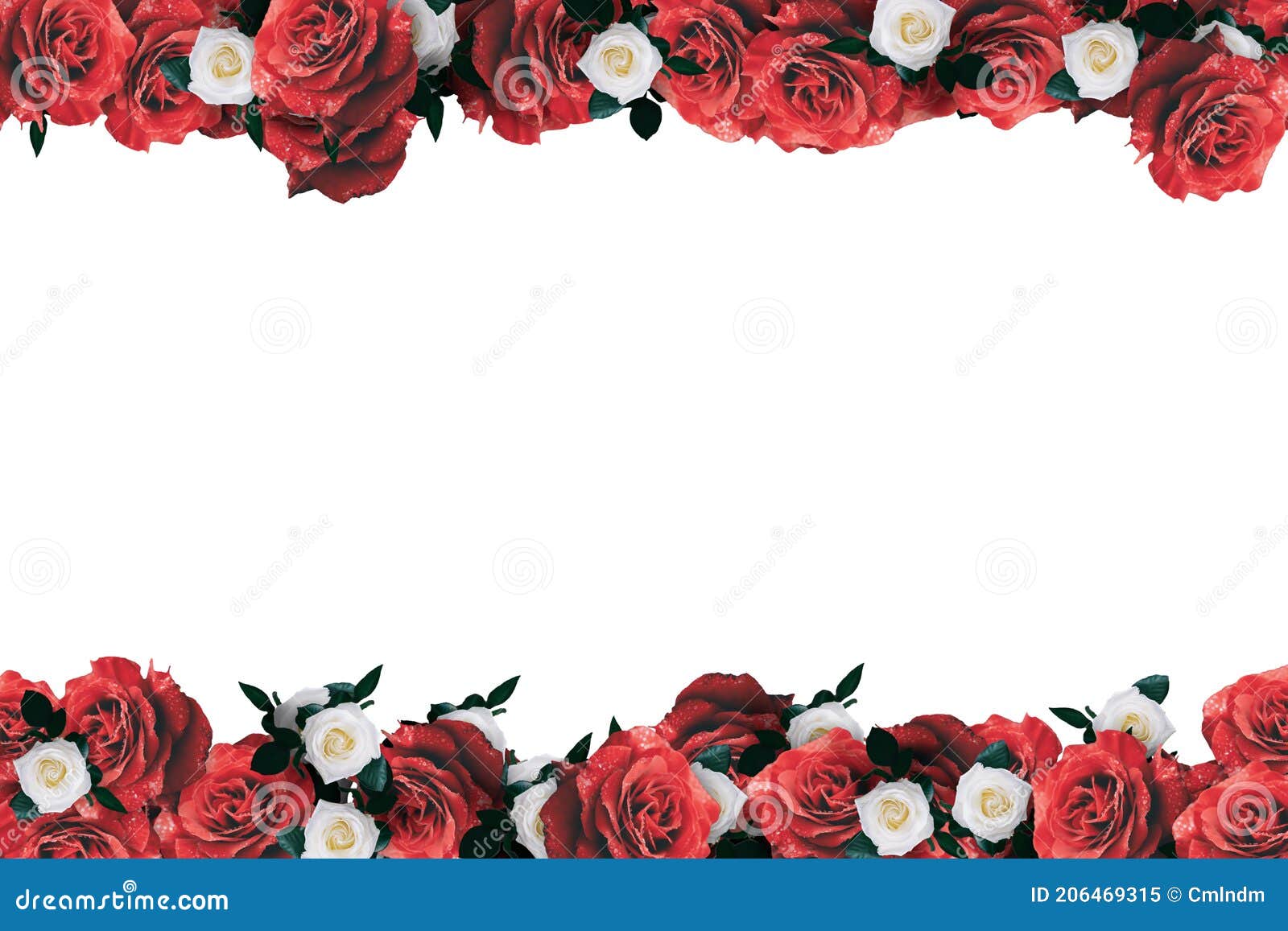 White and Red Roses Border Frame Stock Image - Image of border, natural ...