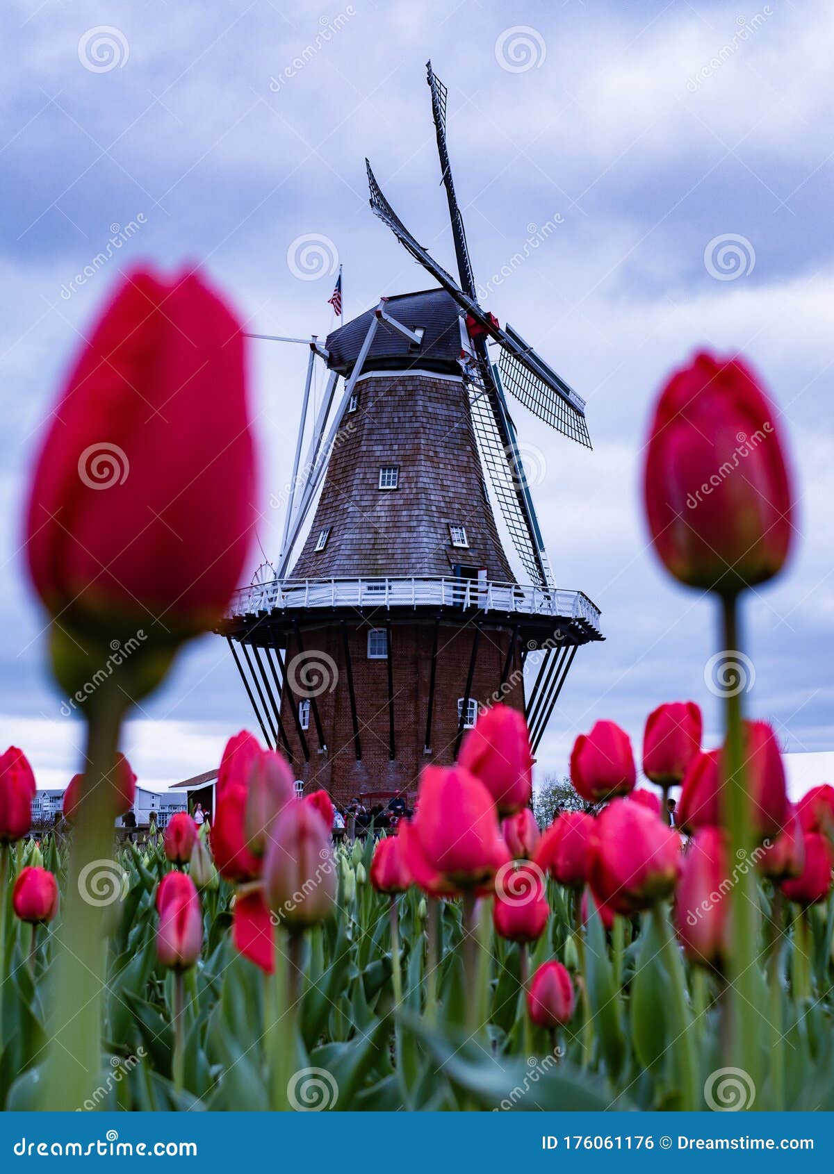 Windmill In Flower Garden Stock Photography | CartoonDealer.com #130663850