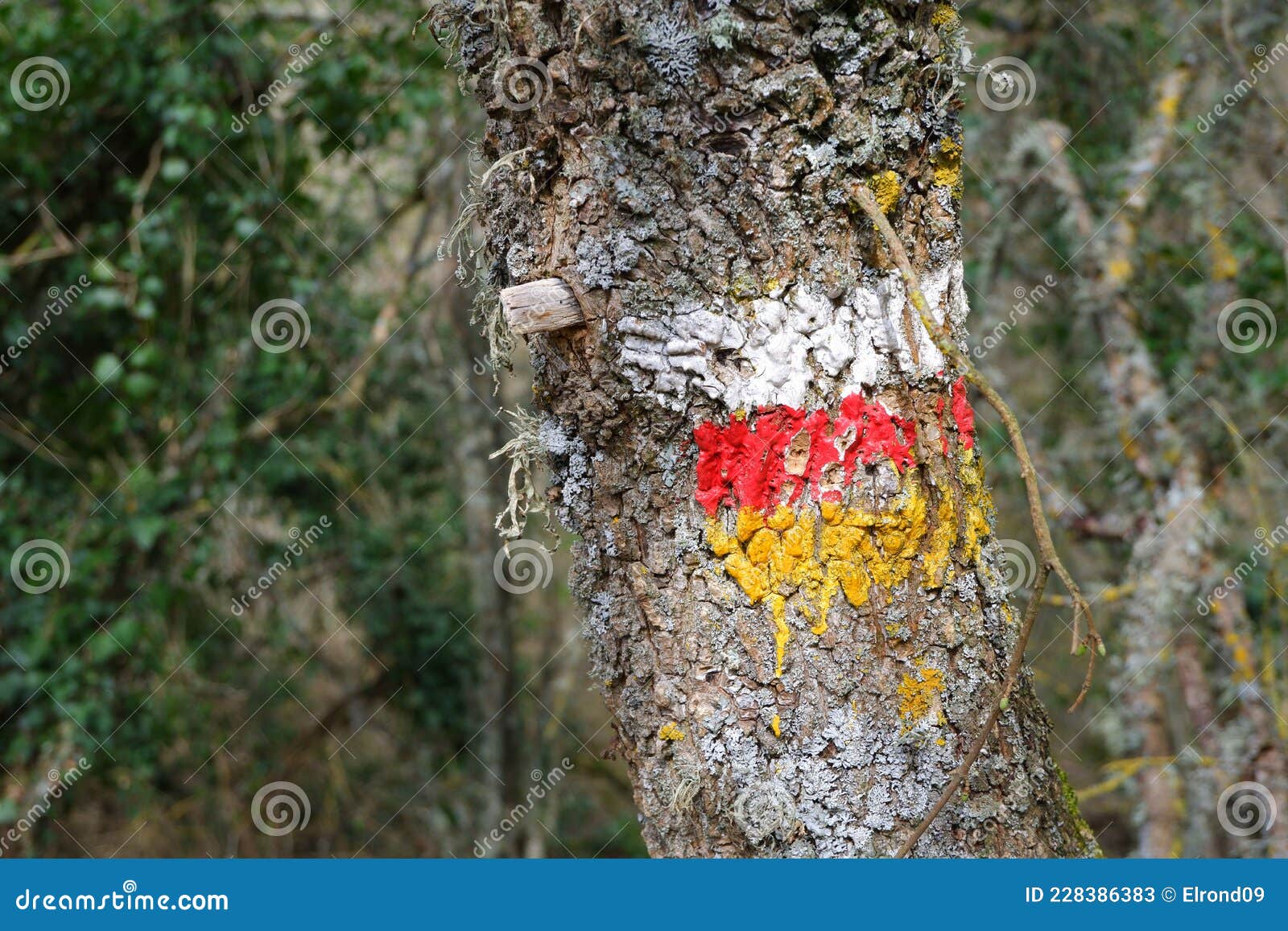 White, Red and Yellow Tree Signal Stock Image - Image of symbol, hiking ...