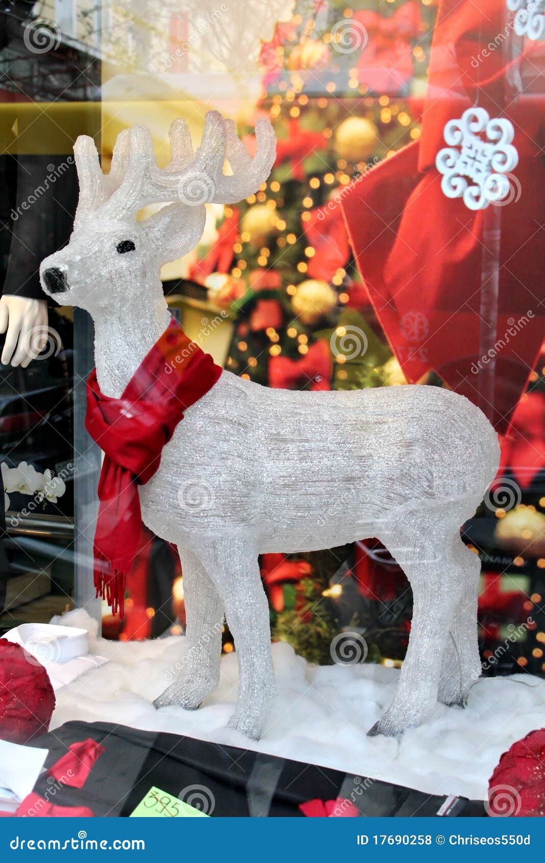 White Reindeer in Store Window Stock Photo - Image of storefront, scarf ...