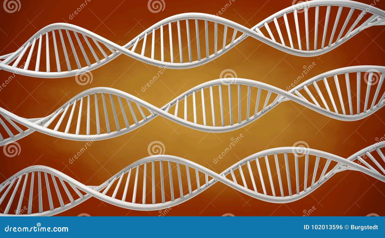 White Ribonucleic Acid or Dna Strand Stock Illustration - Illustration ...