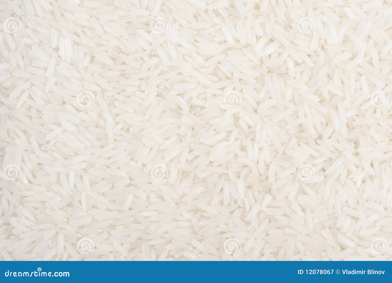 White rice stock image. Image of crop, food, close, rice - 12078067