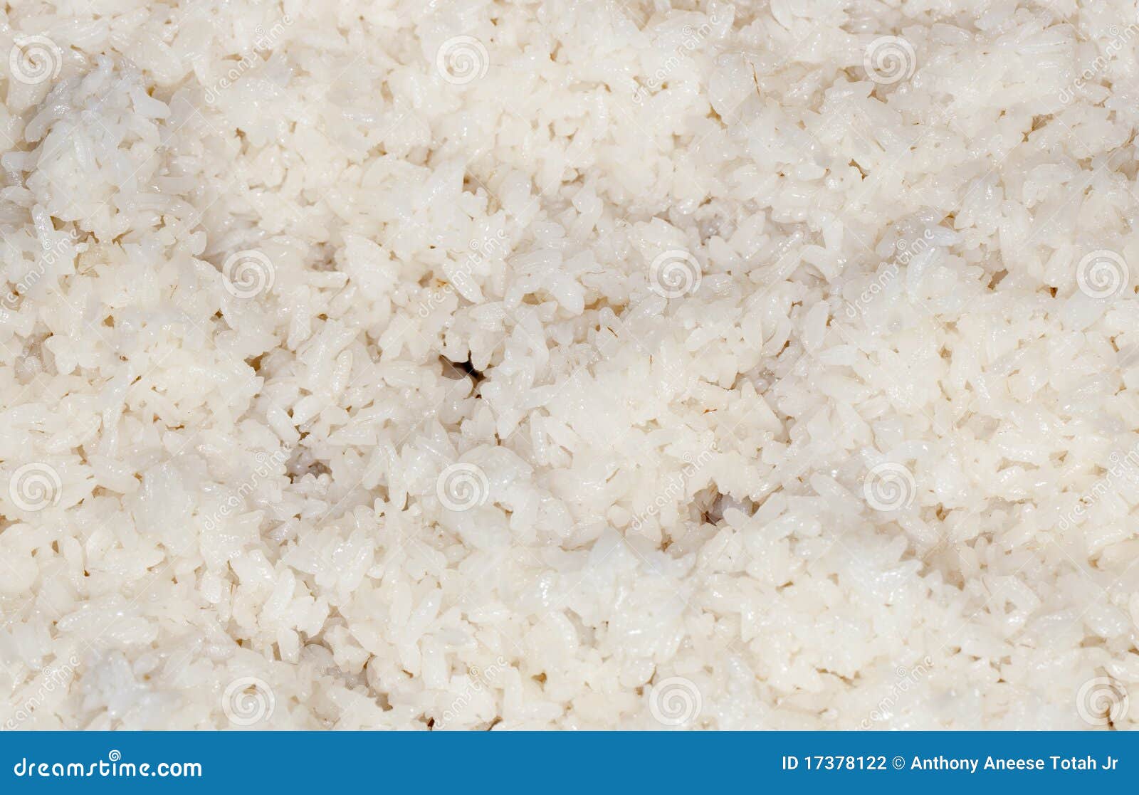 White Rice stock photo. Image of material, asia, ingredient - 17378122