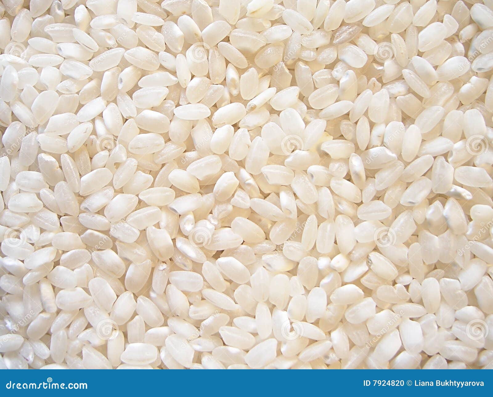 White Rice. stock photo. Image of dieting, heap, closeup - 7924820