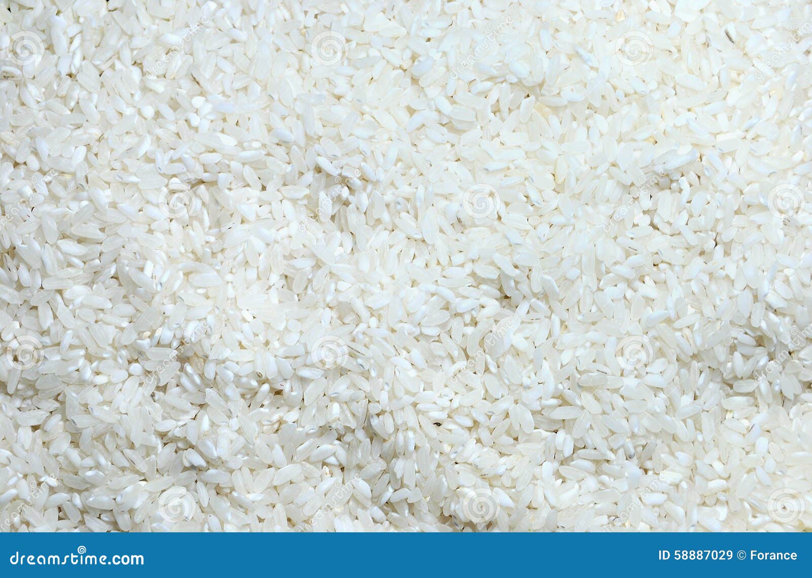 White Rice, Background stock image. Image of background - 58887029