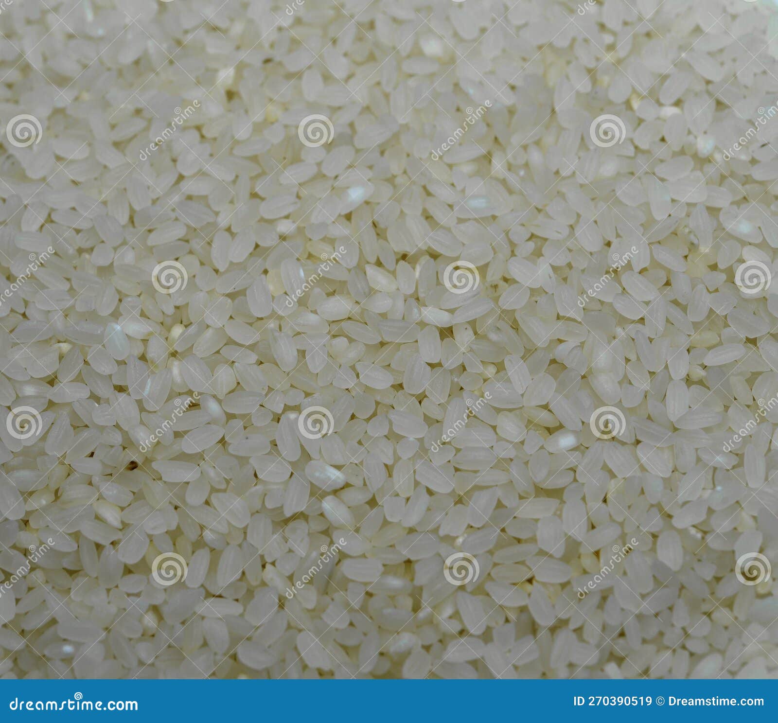 White Rice Close-up. Rice Grains As a Background Stock Image - Image of ...