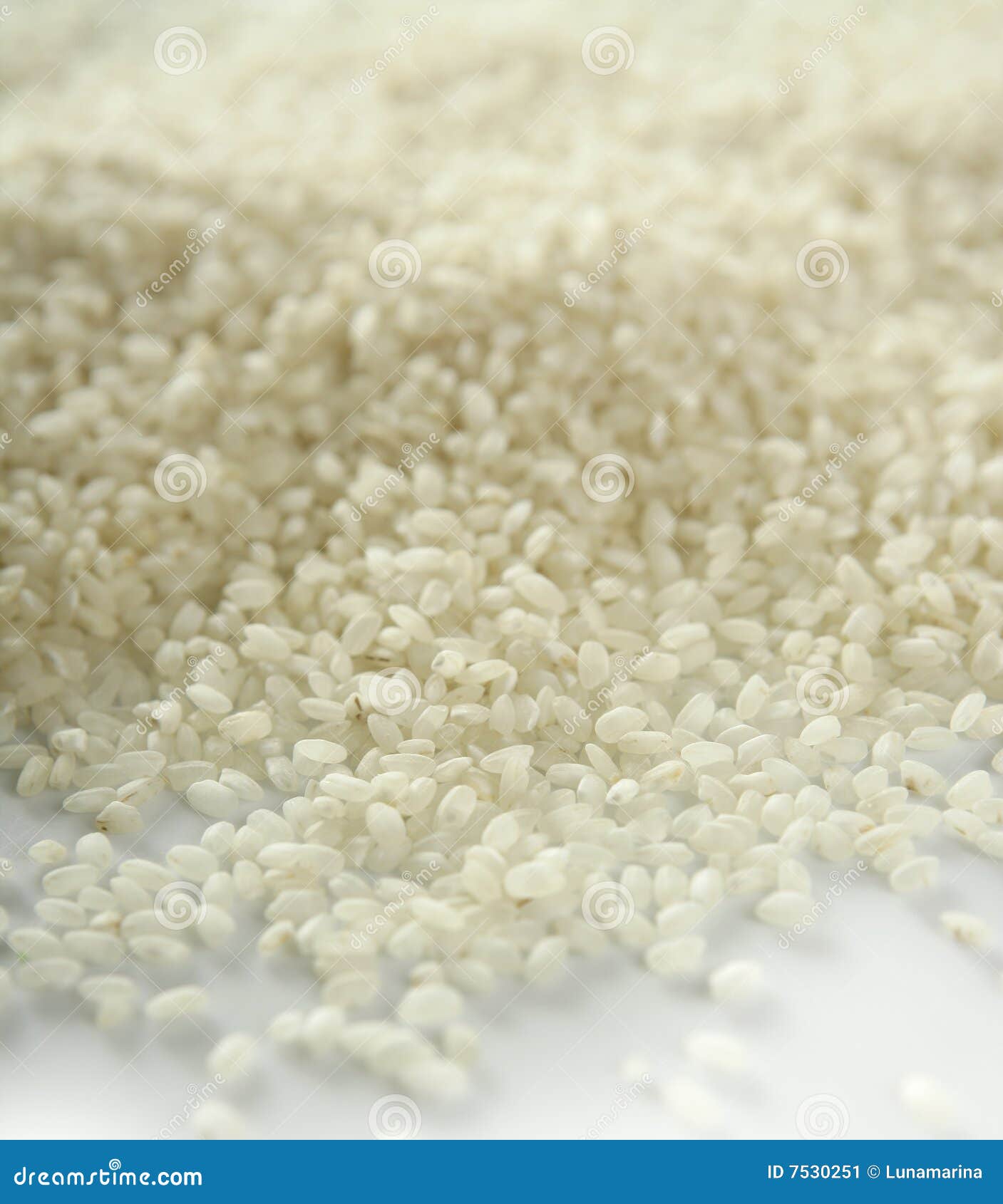 White Rice Close Up Texture. Background Pattern Stock Image - Image of ...