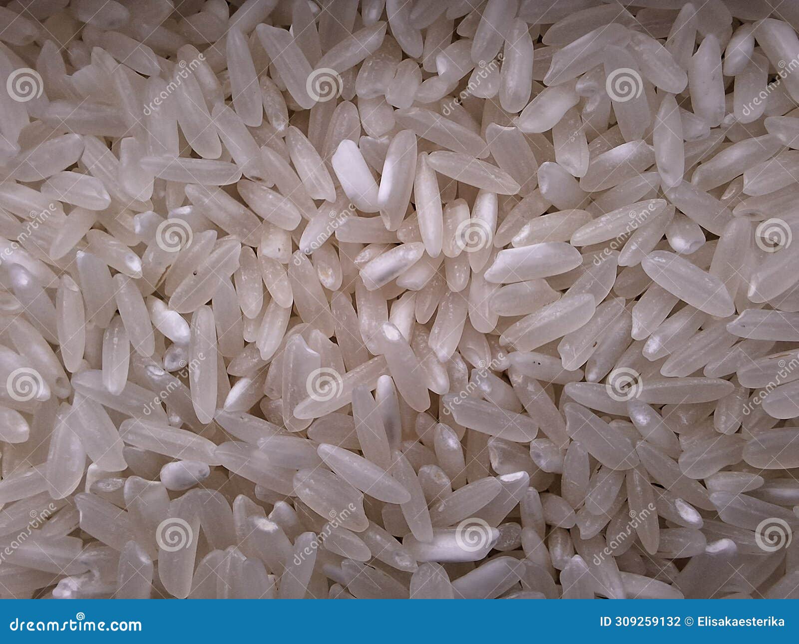 White rice grain close up stock photo. Image of home - 309259132