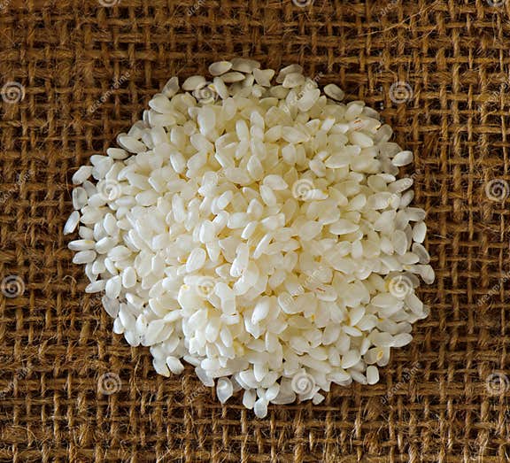 Rice grain stock photo. Image of organic, agriculture - 109249756