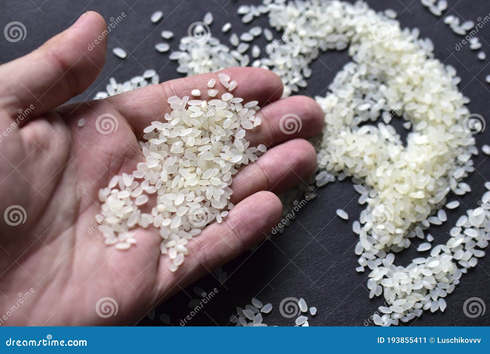 White Rice Grains in the Palm of Your Hand on a Black Background Stock ...