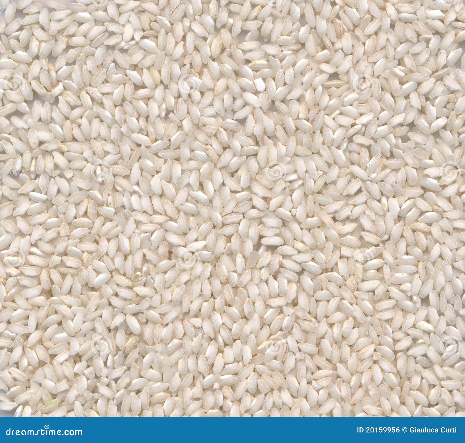White Rice High Resolution Close-up Stock Photo - Image of vegetable ...
