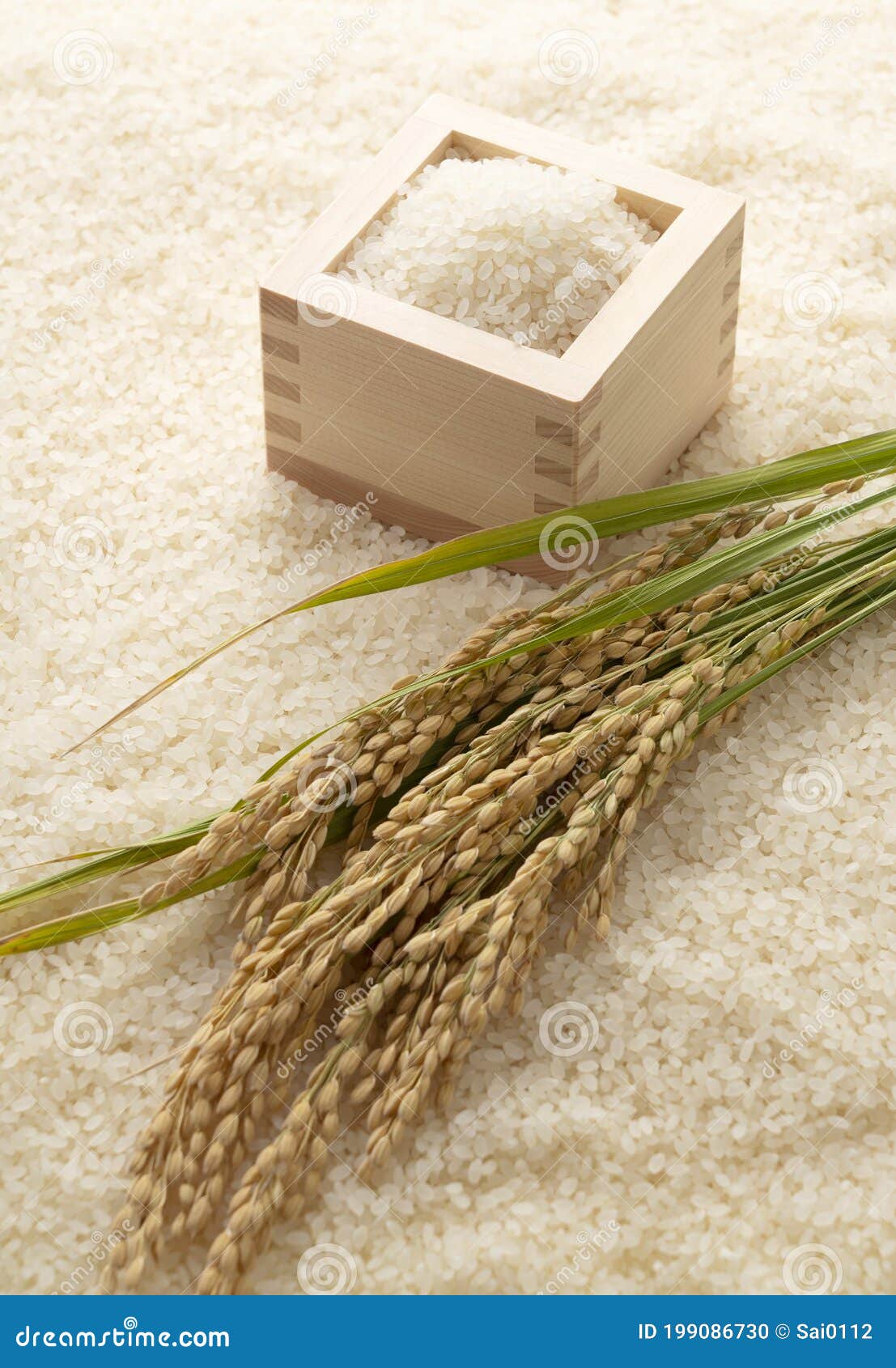 White Rice and Japanese Masu and Rice Ears Stock Photo - Image of ...