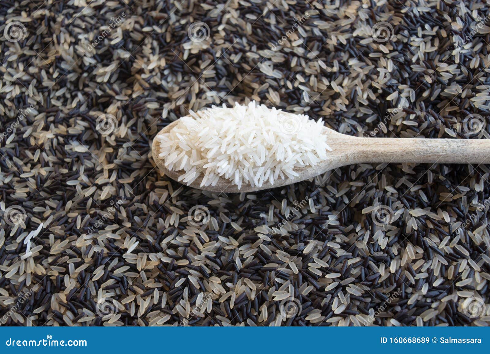 White Rice on a Layer of Black Rice Stock Image - Image of venere ...