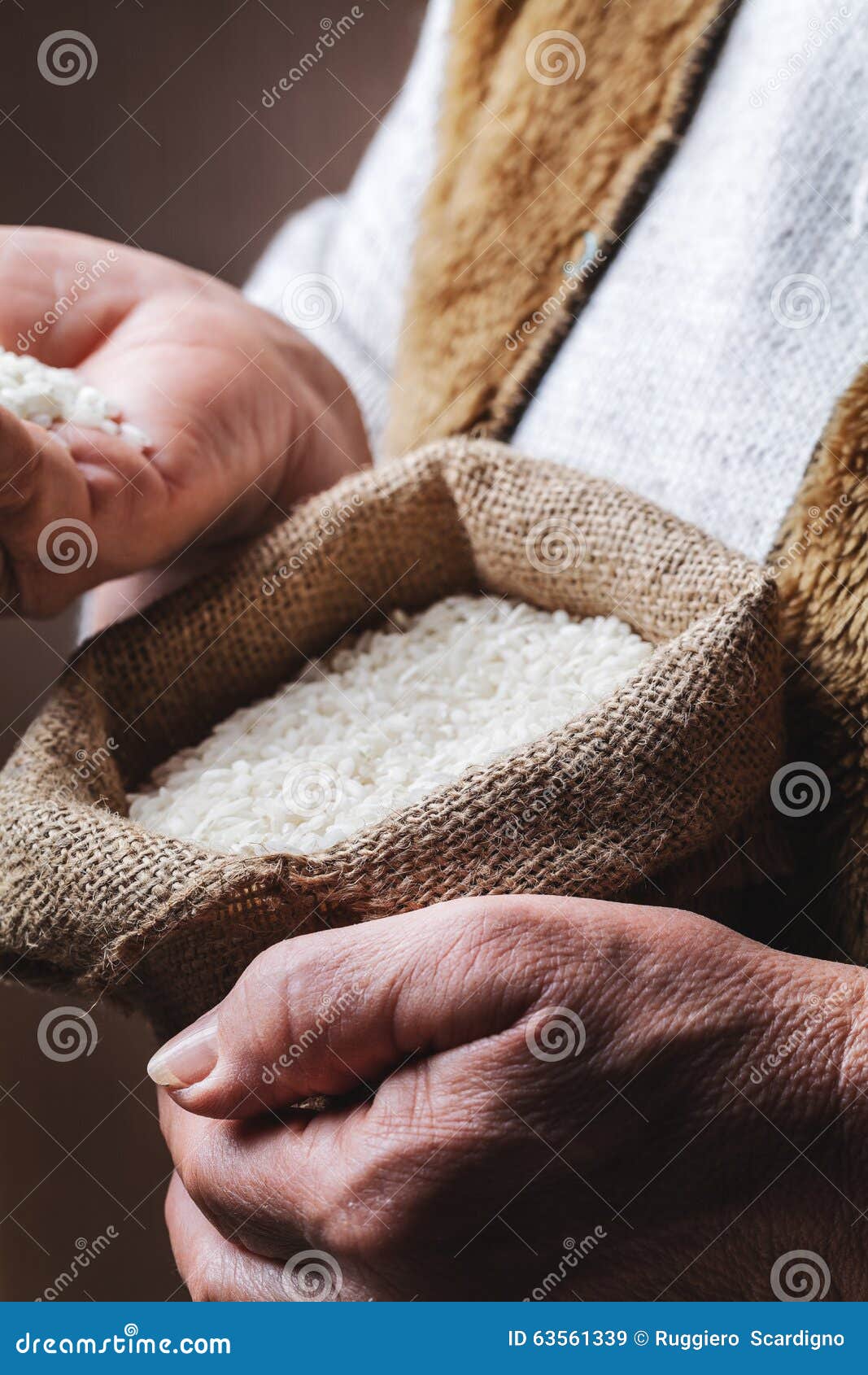 White rice in old hand stock image. Image of macro, cultivation - 63561339