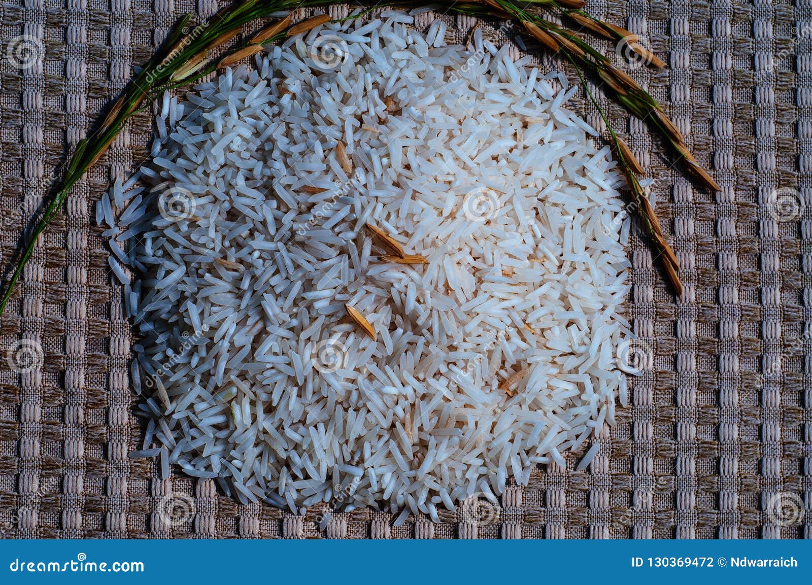 White Rice and Paddy Spikes Stock Photo - Image of crop, asian: 130369472