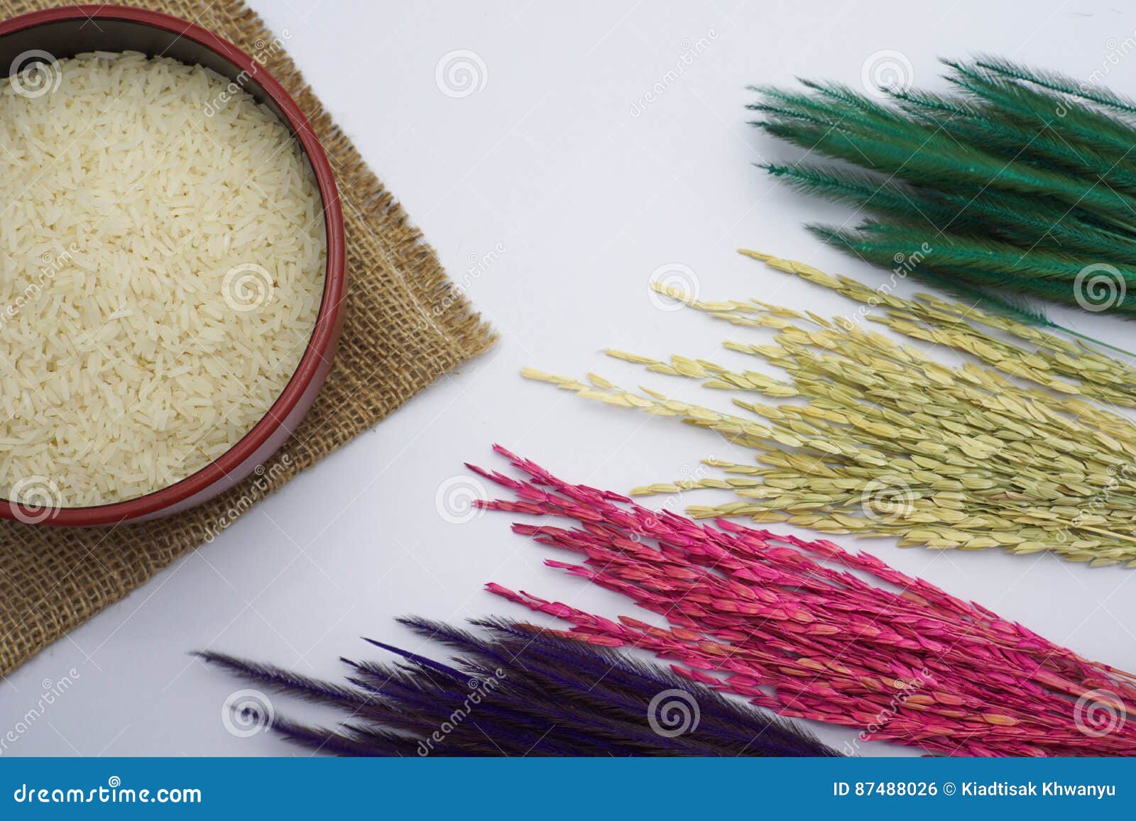 White Rice and Paddy on a White Background Stock Photo - Image of ...