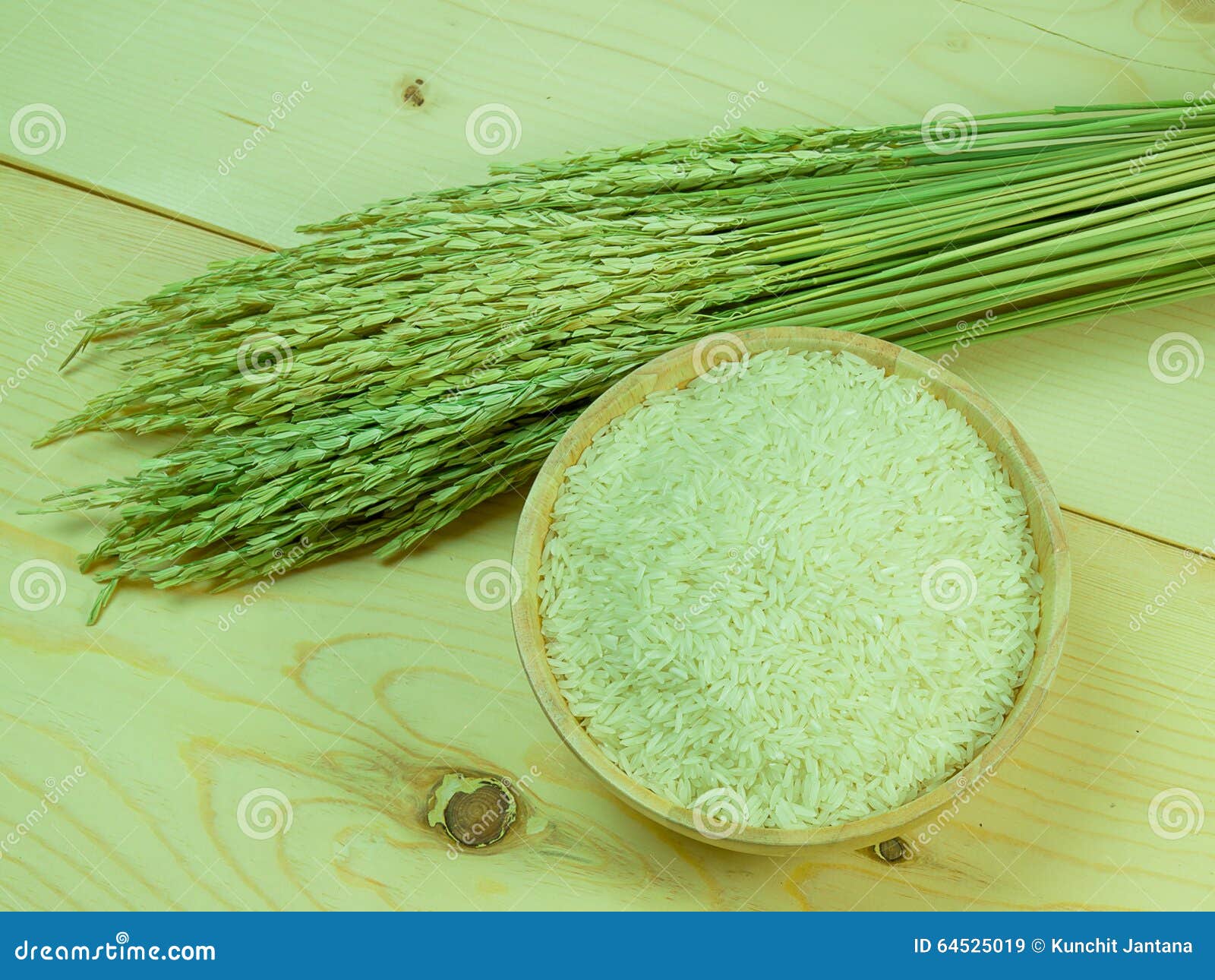 White Rice Plants and Rice Grains Stock Image - Image of close, rice ...