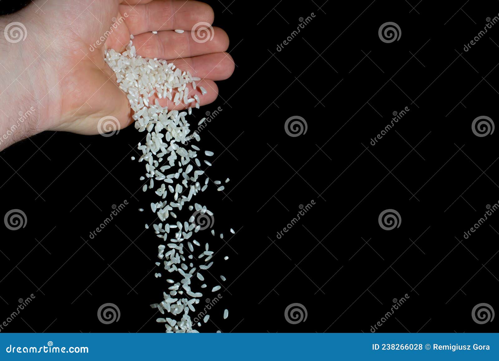White Rice Poured into a Hand Stock Photo - Image of harvest, white ...