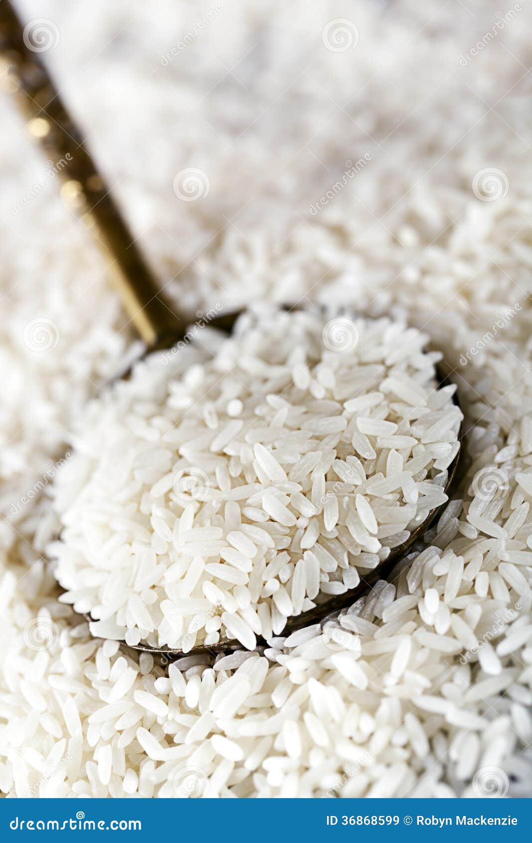 White Rice on Spoon stock image. Image of rice, cereal - 36868599